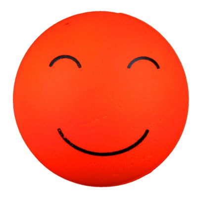 Trix Smiley Ball Dm.6cm lime schwimmendMoosgummi online kaufen