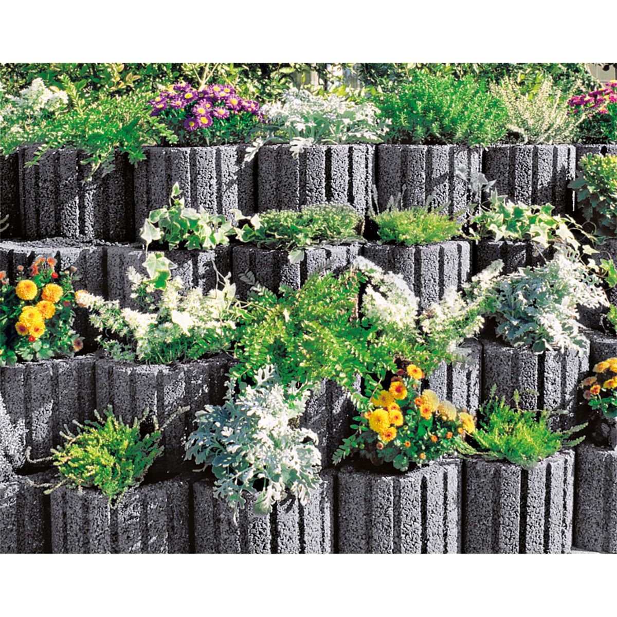 Lusit Pflanzring groß grau 48 x 30 cm online kaufen