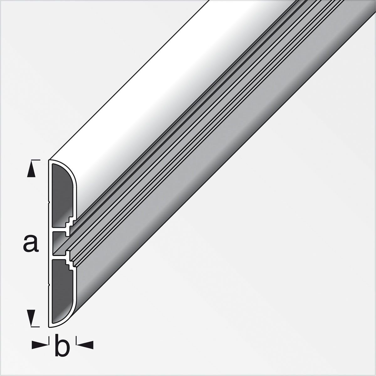 MyTool Schiene Coaxis 1m breit online kaufen