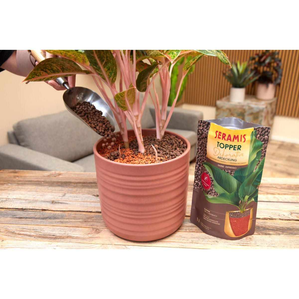 Seramis Topper Espresso 1 L online kaufen