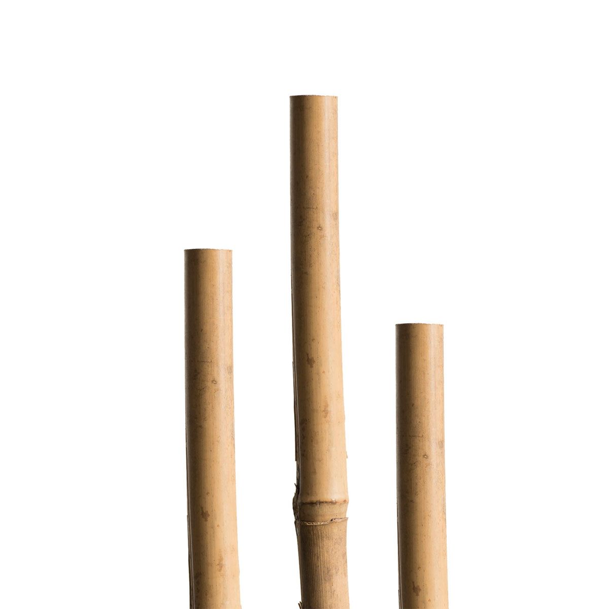 Splittstäbe 40cm natur Bund 15 online kaufen