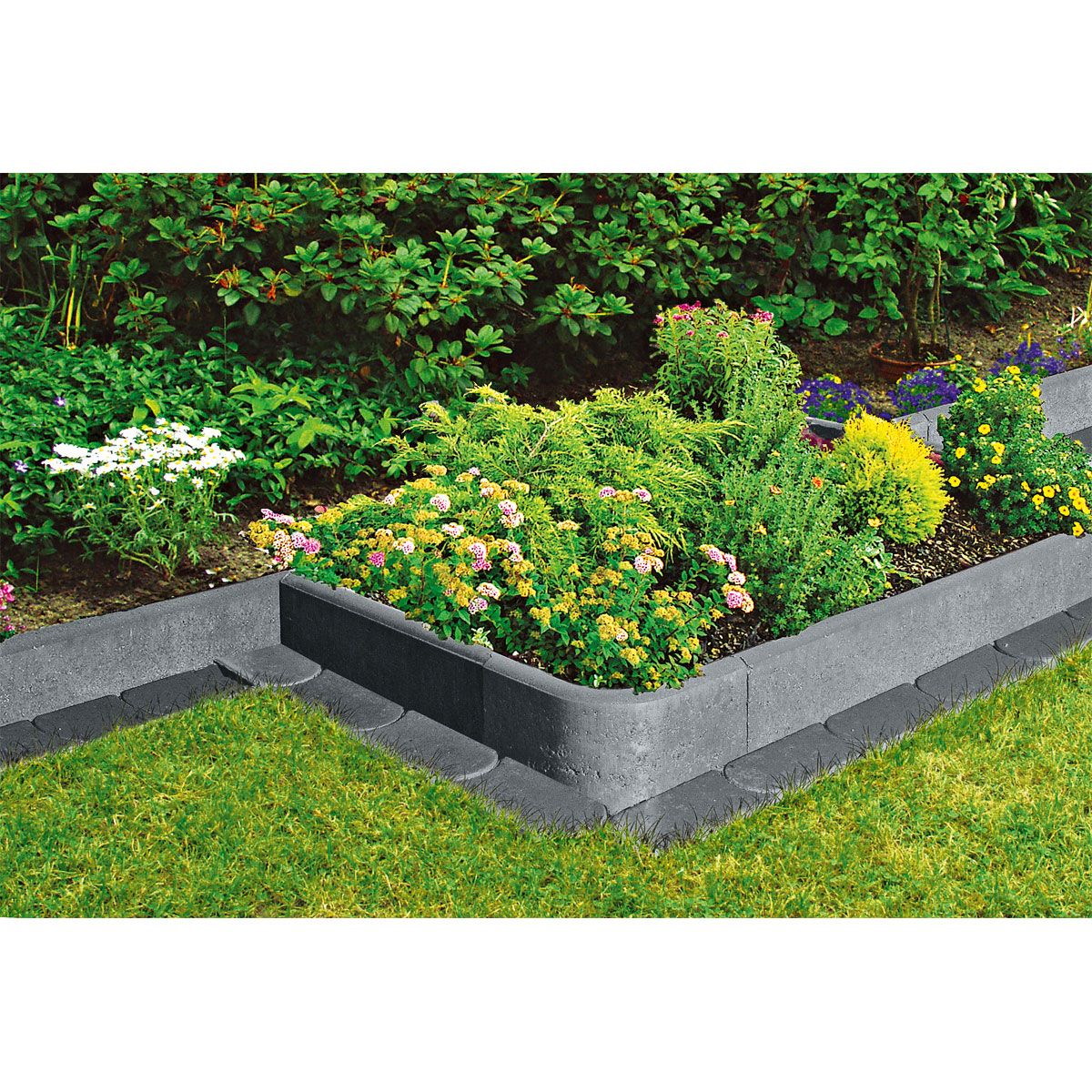 Rasenbord, anthrazit mit Nut und Feder100x25x5 cm online kaufen